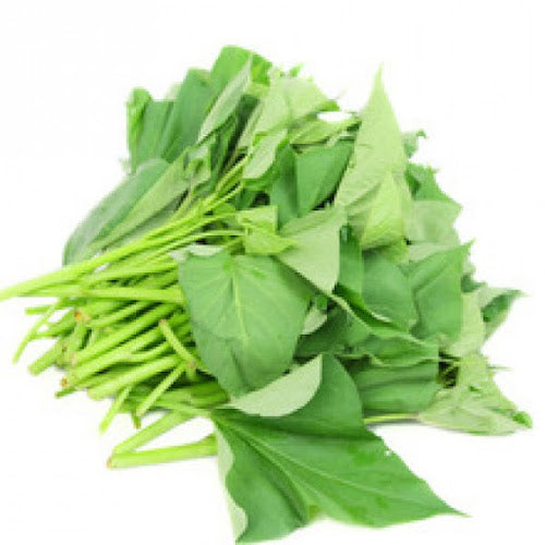 YAM TIPS 地瓜苗 | Panda Supermarket